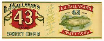 How did corn change our lives?